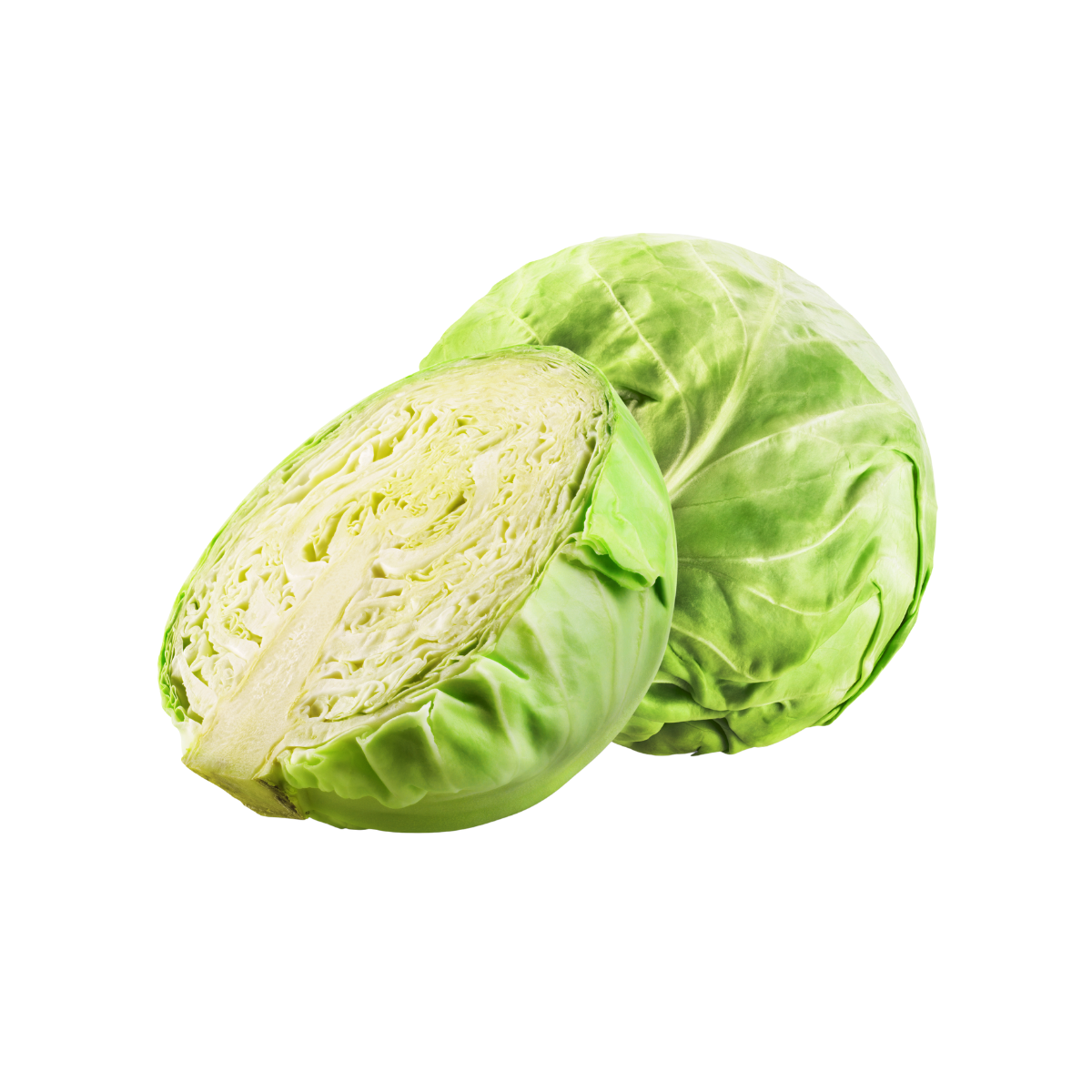 Tribaldos Repollo kg – Orgánica Store Panamá